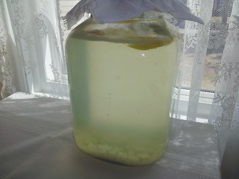 How To Flavor Water Kefir - Second Fermentation Tips - Fermented Foods ...